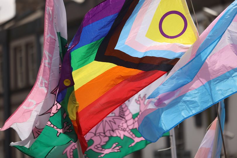 Police investigating reports of assault at Welsh Pride event