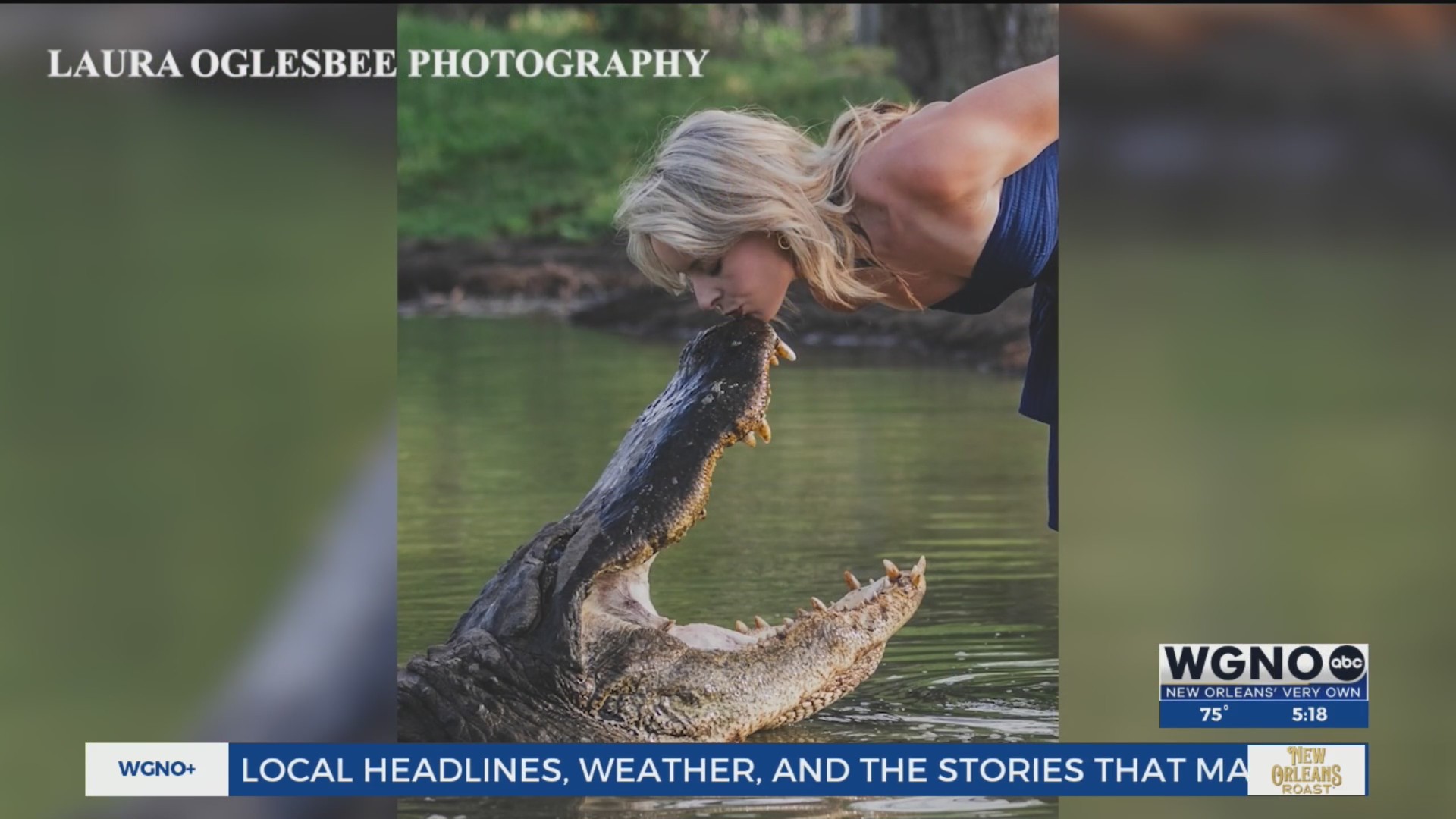 Louisiana graduate takes glamorous graduation photos with giant gators