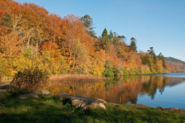 Body found in Co Down forest park as missing person search ends in tragedy