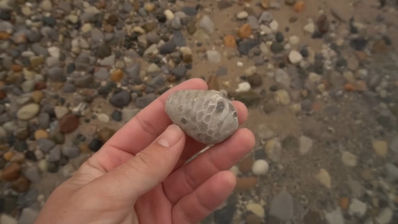 They went rock hunting in Michigan - then the Petoskey stones started ...