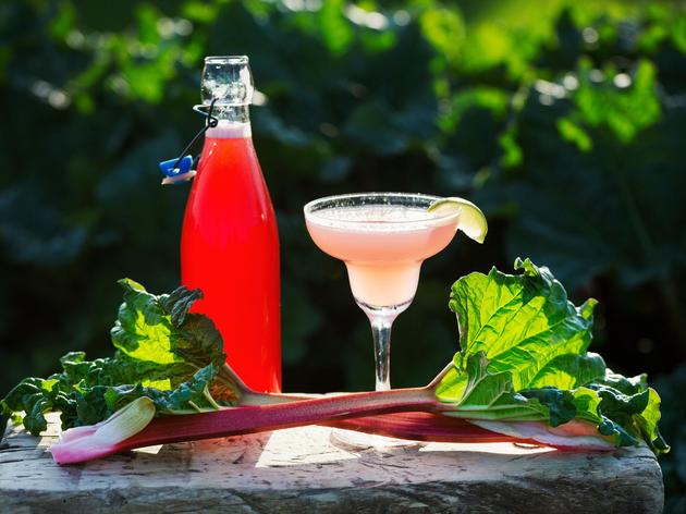 Fruchtig-frisch und rosa-rot: Rhabarber Gin Fizz bringt Abwechslung ins ...