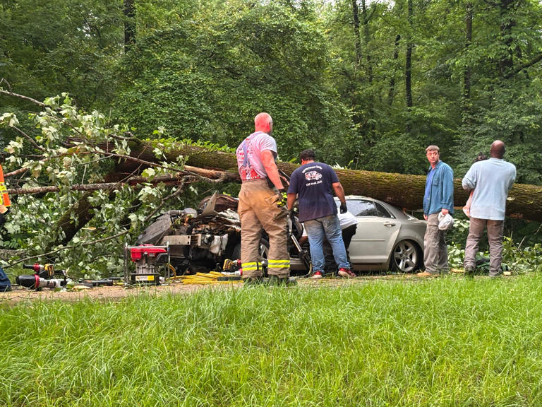Driver airlifted after tree falls on car on Natchez Trace
