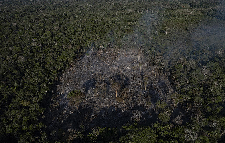 Sustainable fashion faces a deforestation reckoning