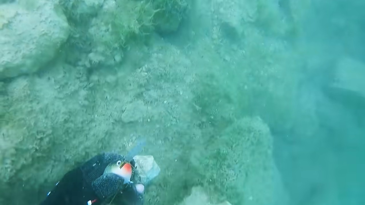 I came to dive for their lost stuff - He entered the crowded lake, then ...