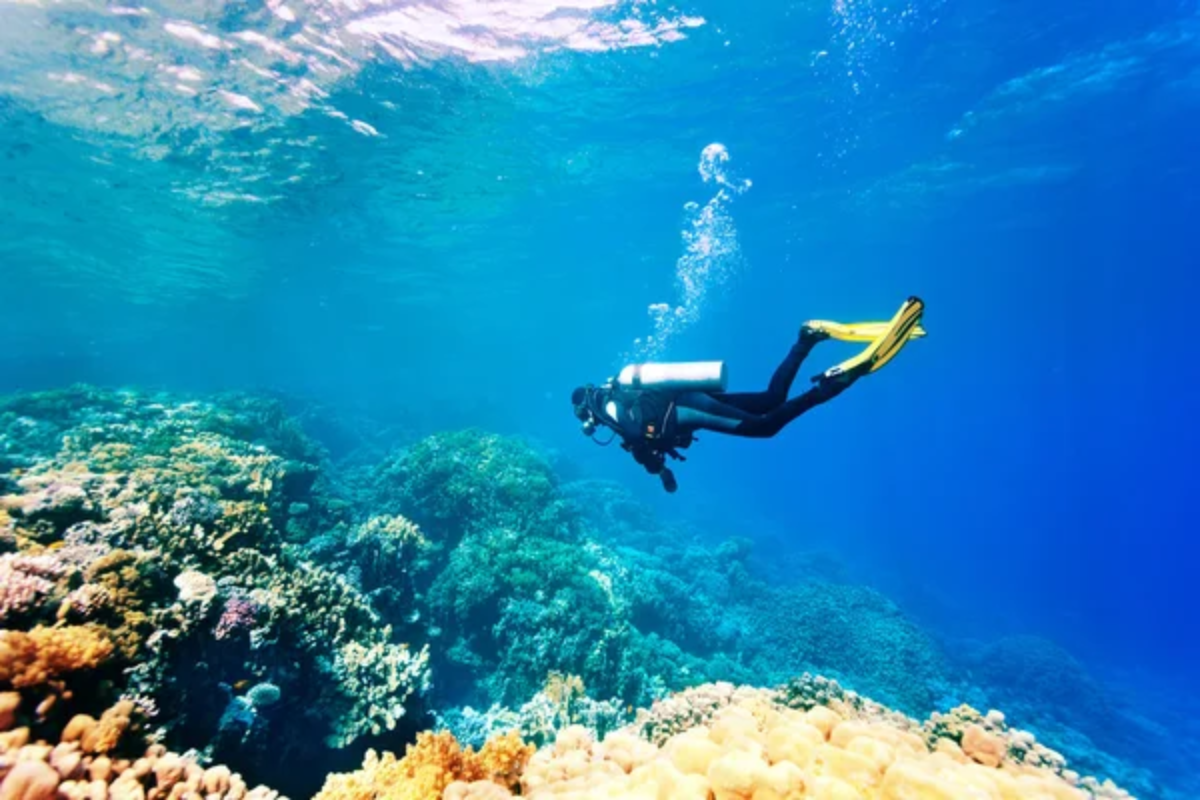14 coastal towns with scuba diving schools