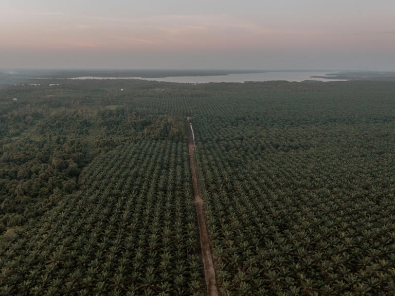 Why Prabowo’s commodity export controls are spooking Indonesian markets