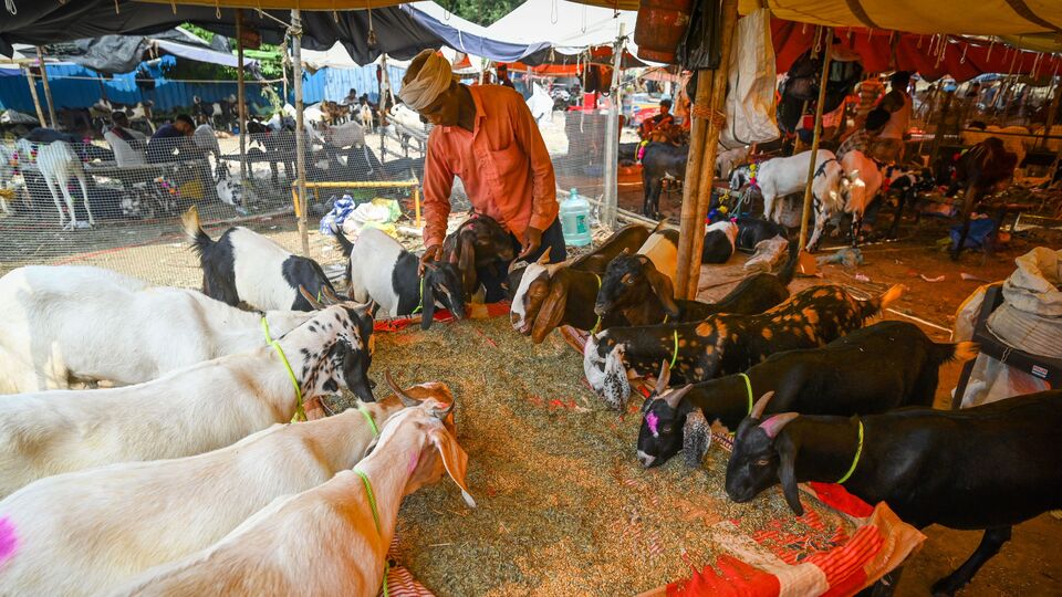 Bakri Eid 2026: Delhi govt offices to remain closed on May 28; check ...