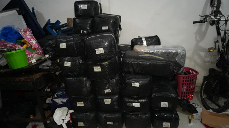 Tenían casi una tonelada de marihuana escondida en una casa de Bogotá ...