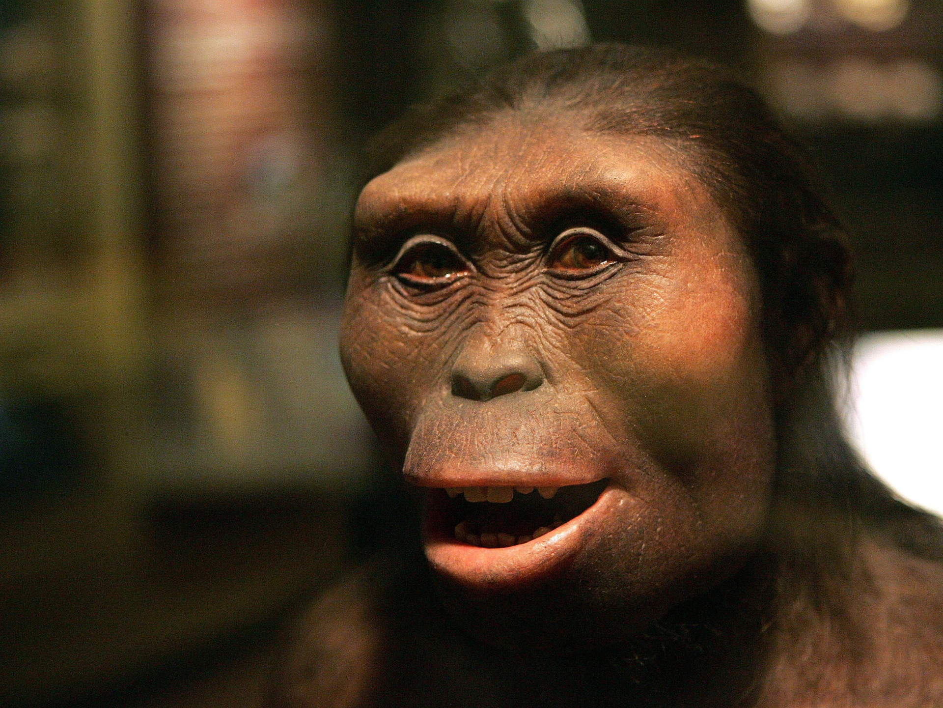 How different are we from past human species?