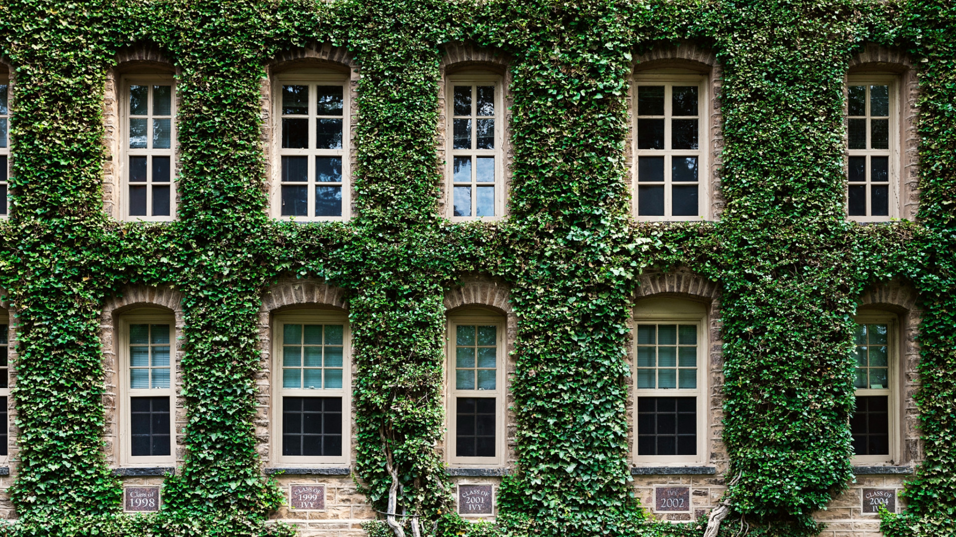 What exactly is the Ivy League?