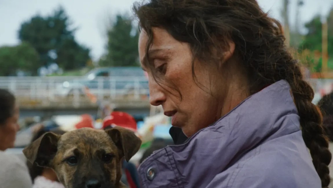 Female dogs and directors dominate Palm Dog Awards