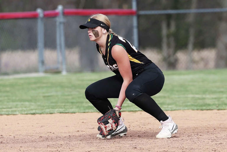 Piasa Birds break up no-hitter in seventh, but fall to Red Bud in regional