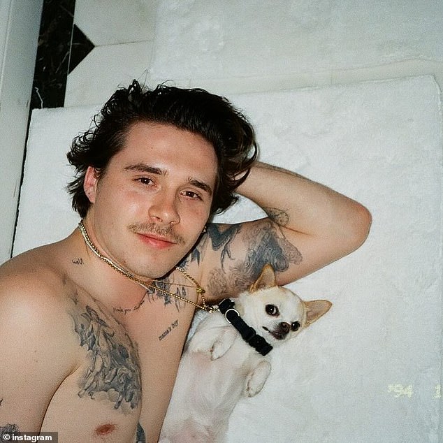 Nicola Peltz Beckham ends legal battle over dog's death