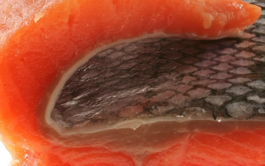 Simple habits to keep triglycerides in check