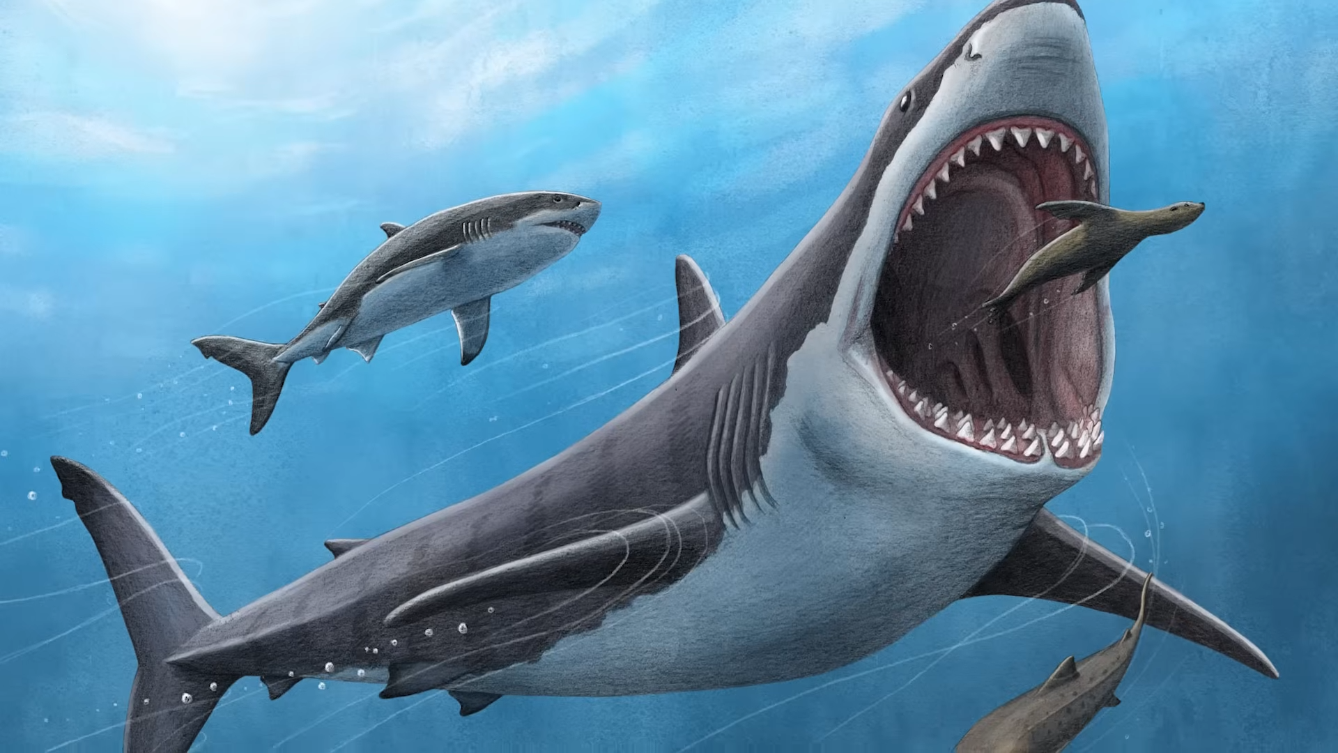 This video shows saber-tooth cats hunting across ancient Africa