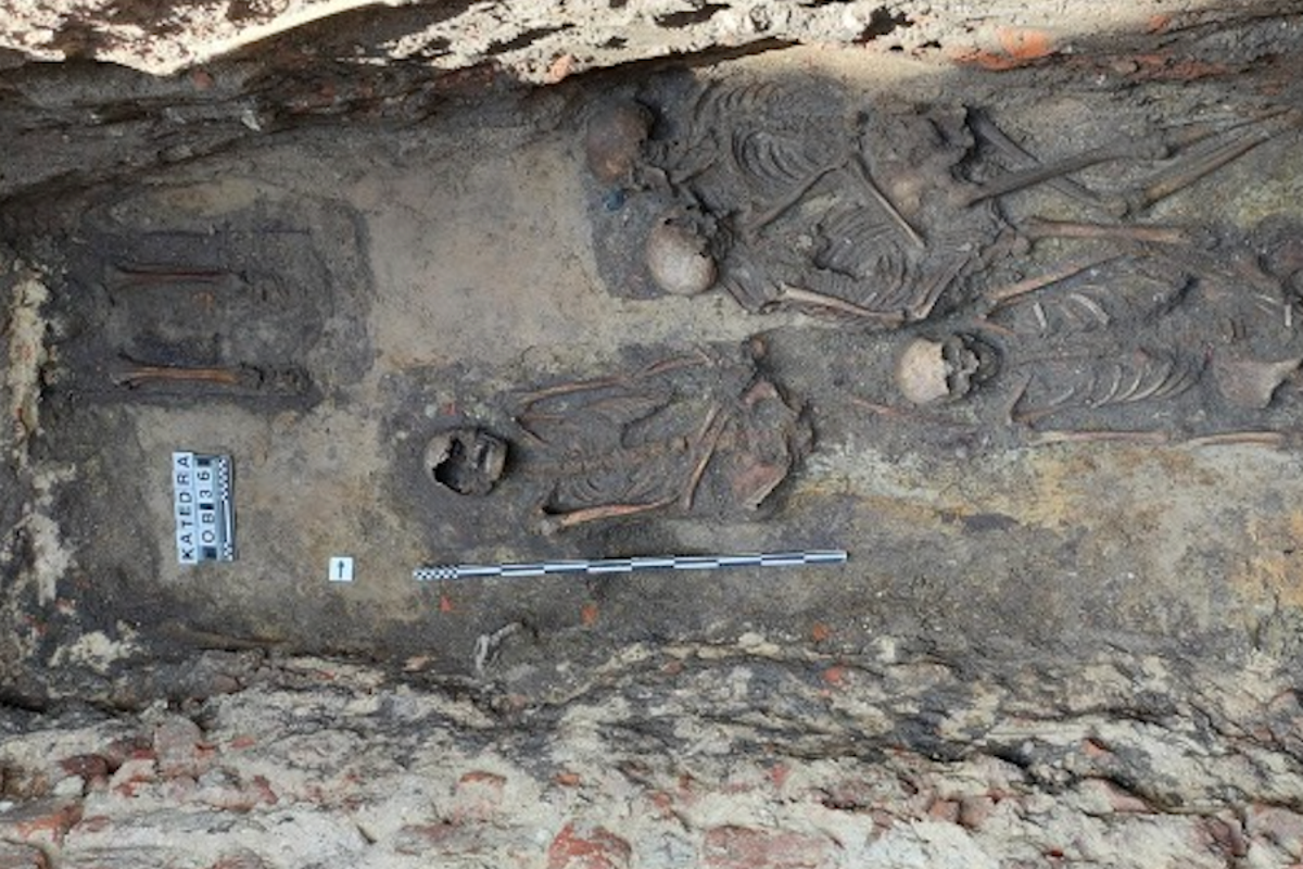 Medieval skeletons confirmed as Poland’s first same-sex double burial