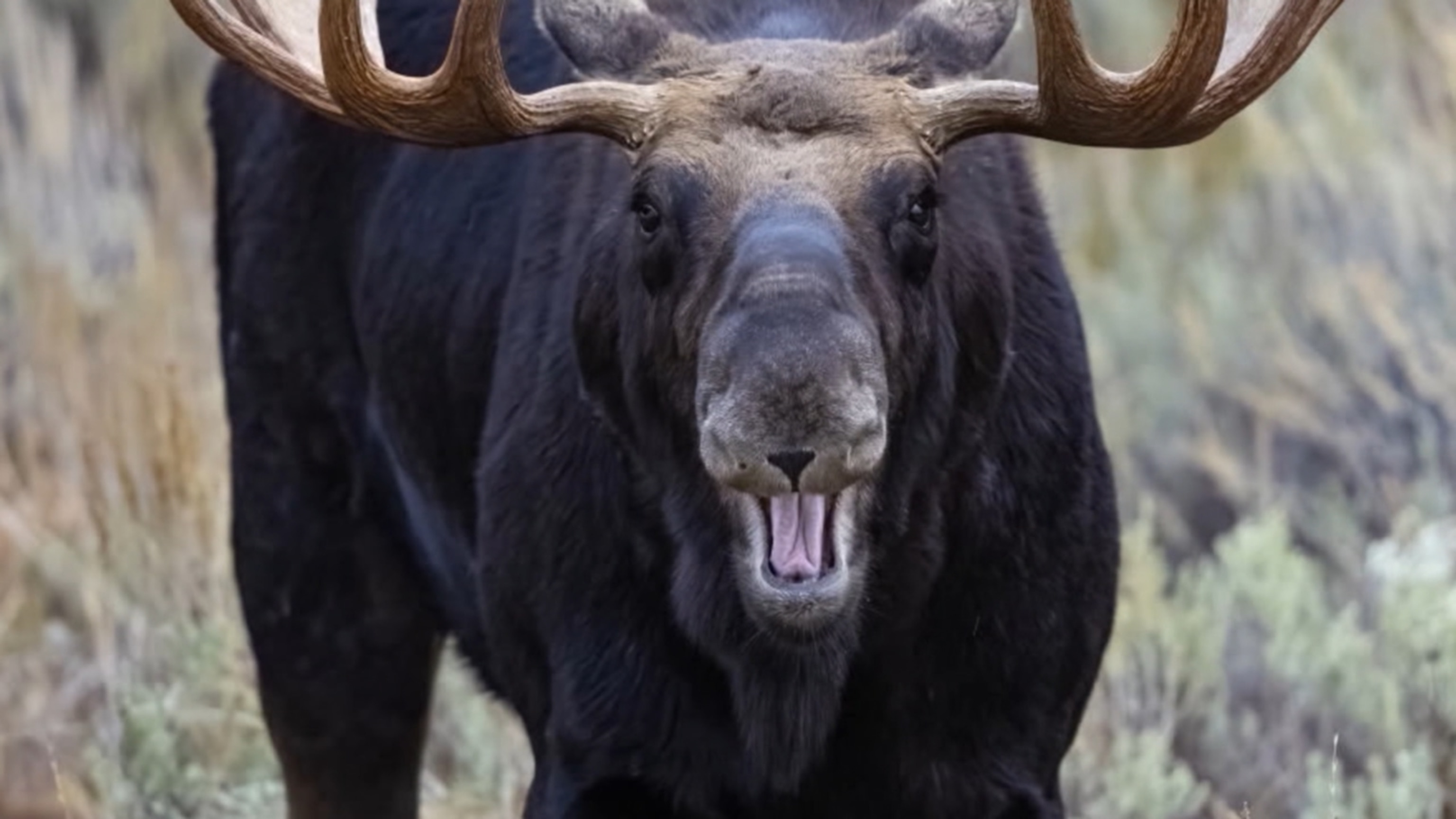 '50 states in 50 weeks' visits Wyoming