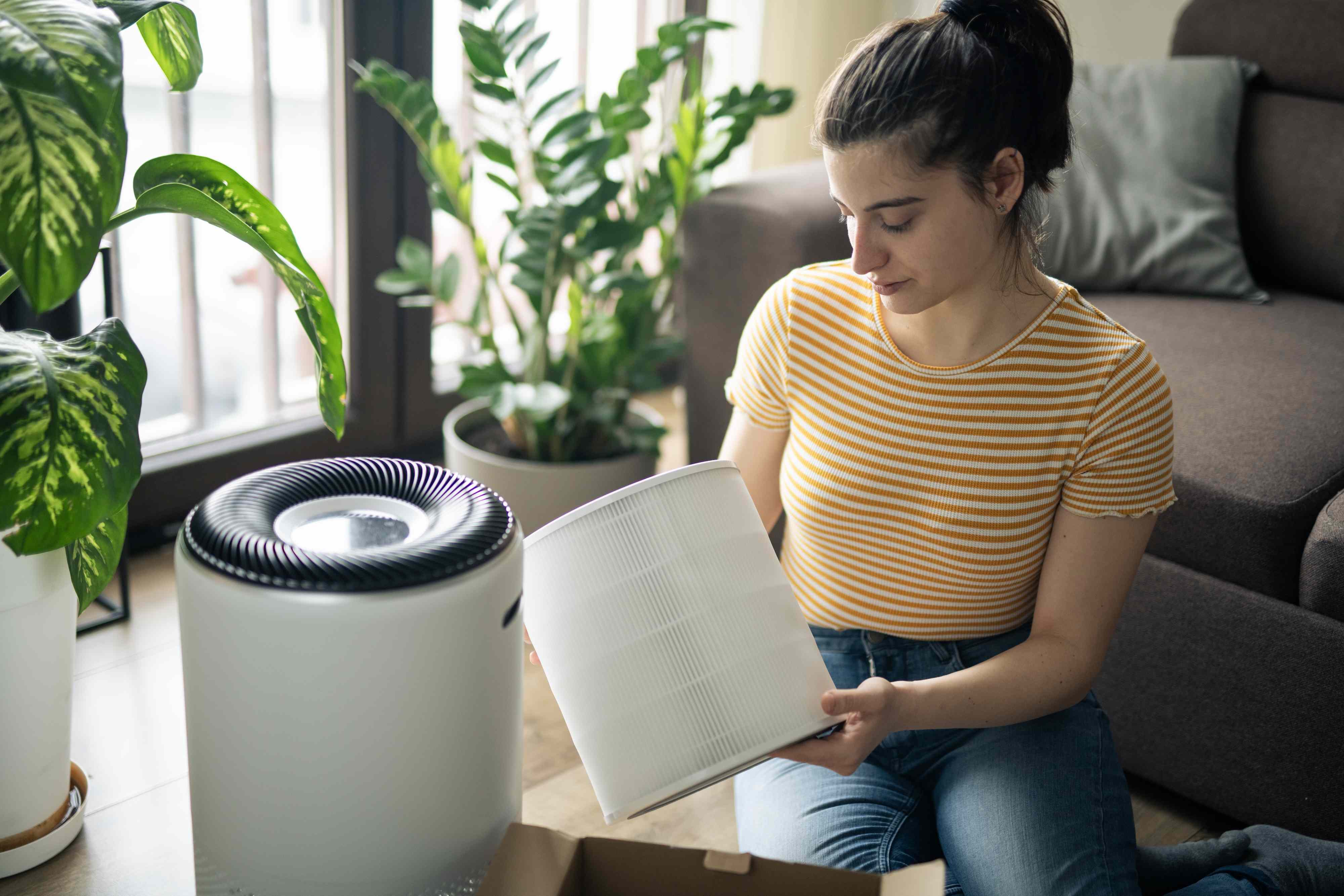 Can air filters improve your focus? Here's what the research says