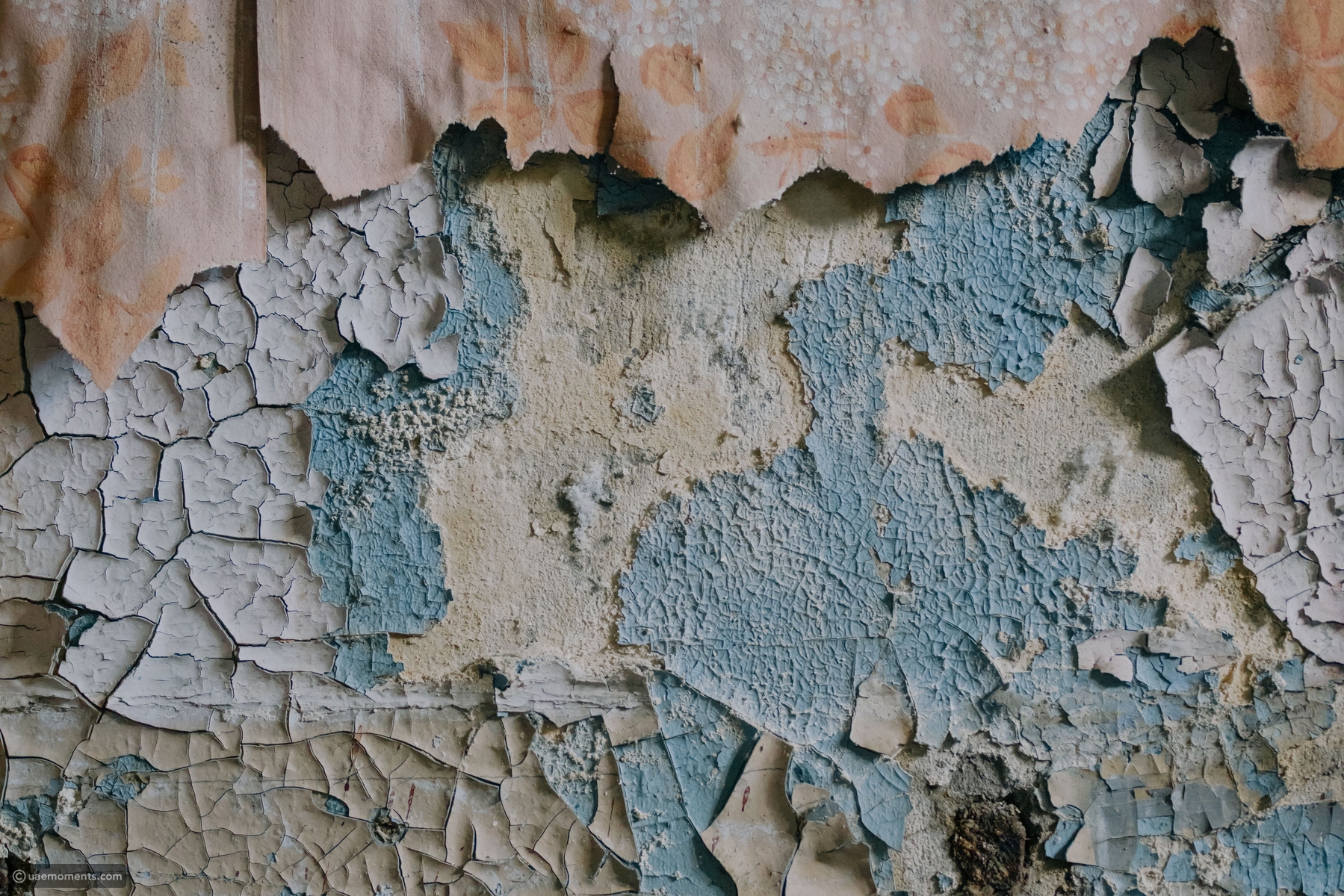 Home maintenance tips your parents taught you that are actually wrong