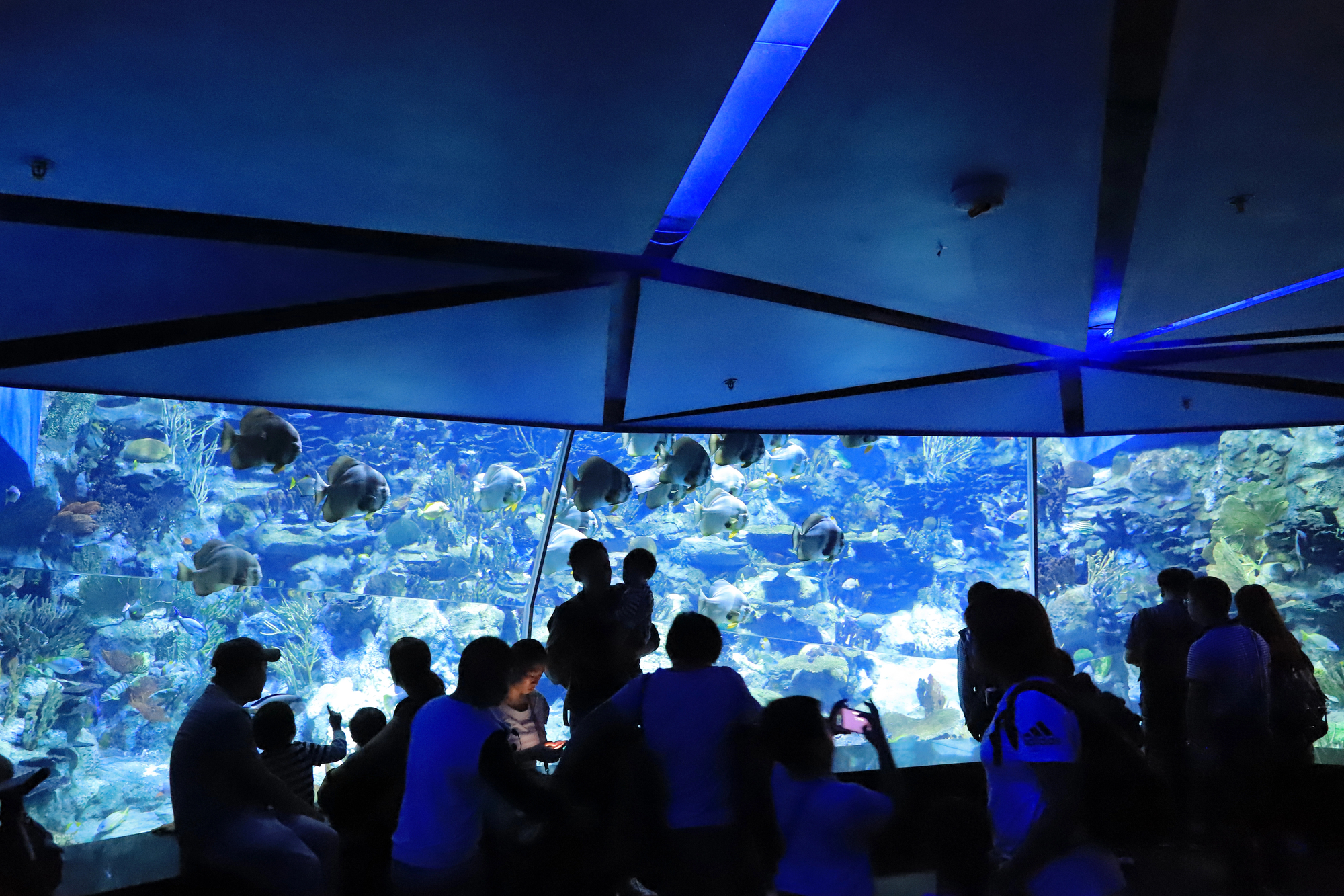 16 restaurants built inside the strangest locations on Earth