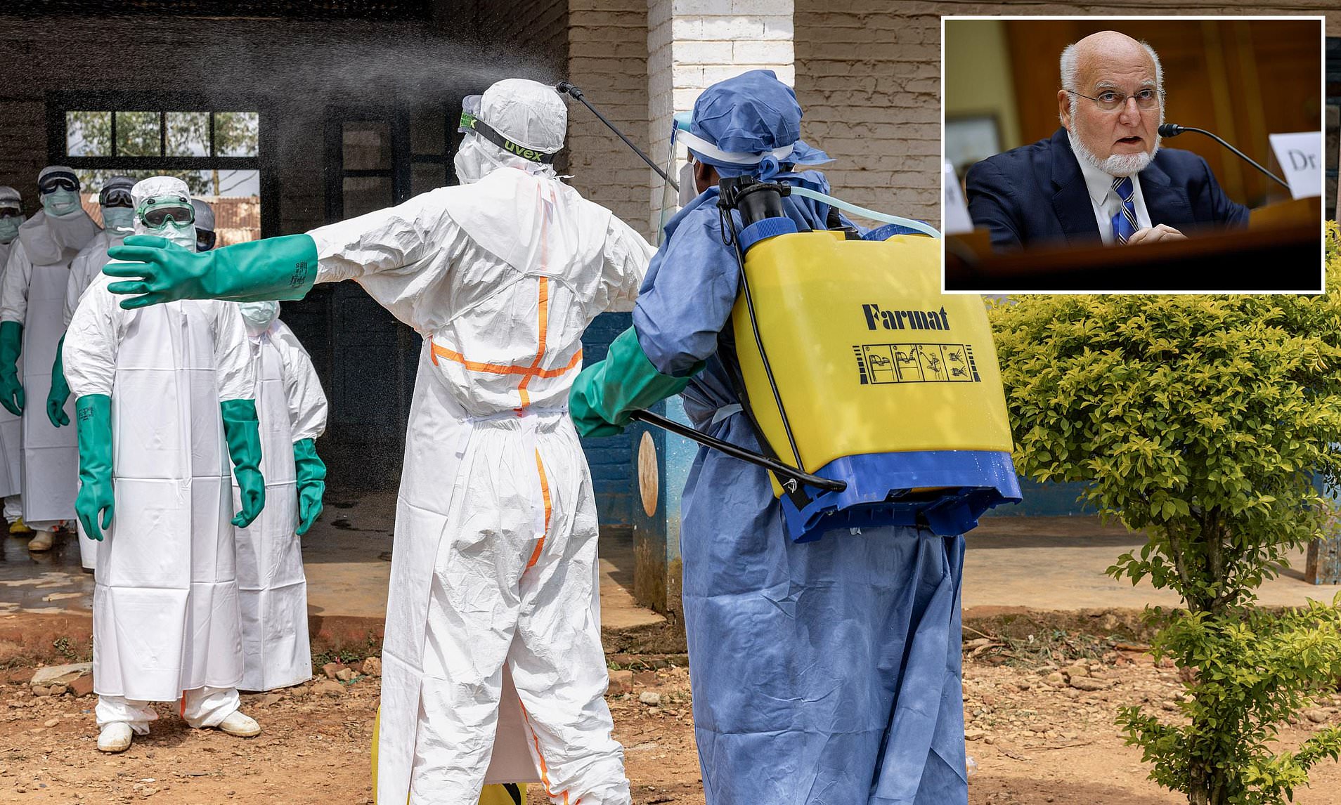 Former top health official warns Ebola outbreak could spark a new ...