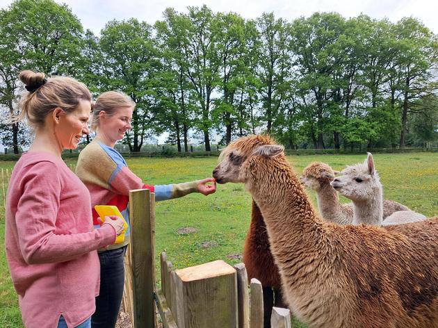 Pausen-Hof: Zwei Freundinnen schaffen eine Auszeit-Oase