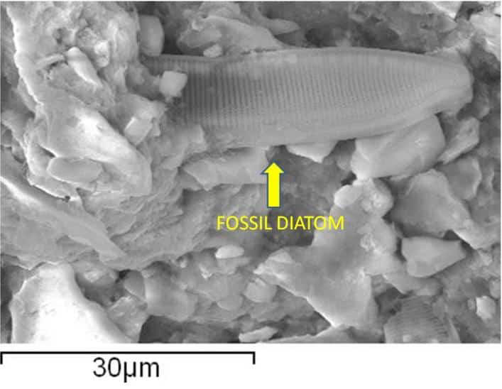 Researchers examining a meteorite fragment discovered strange ...