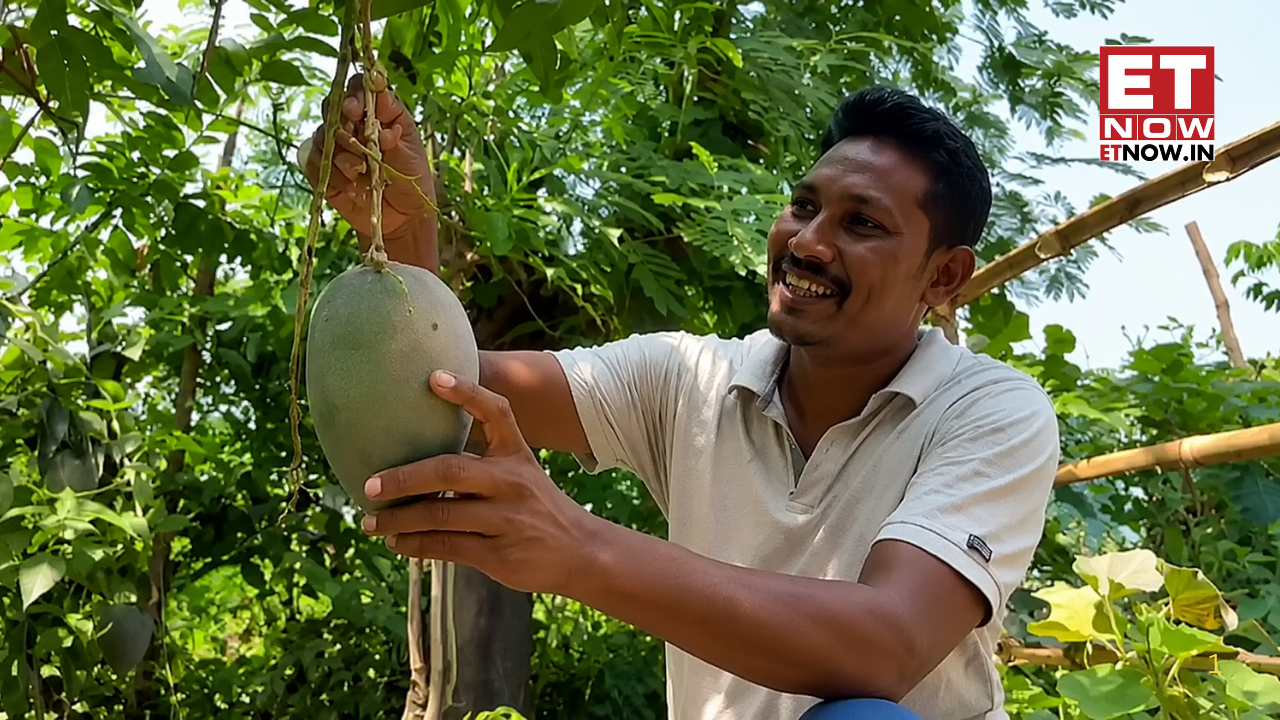 Mango worth Rs 3 lakh per kg, more expensive than silver; Indian farmer ...