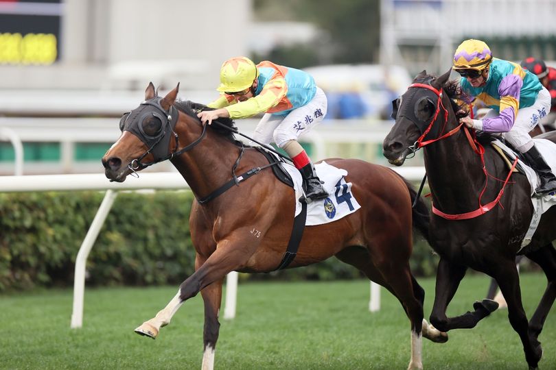 Former Irish-trained horse out to spoil party for world's richest ...