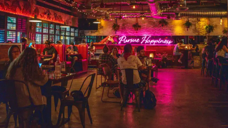 10 Miami bars you need to know about if you're visiting
