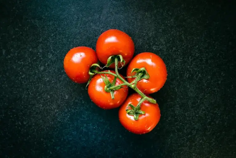 7 foods that act like natural sunscreen from the inside out