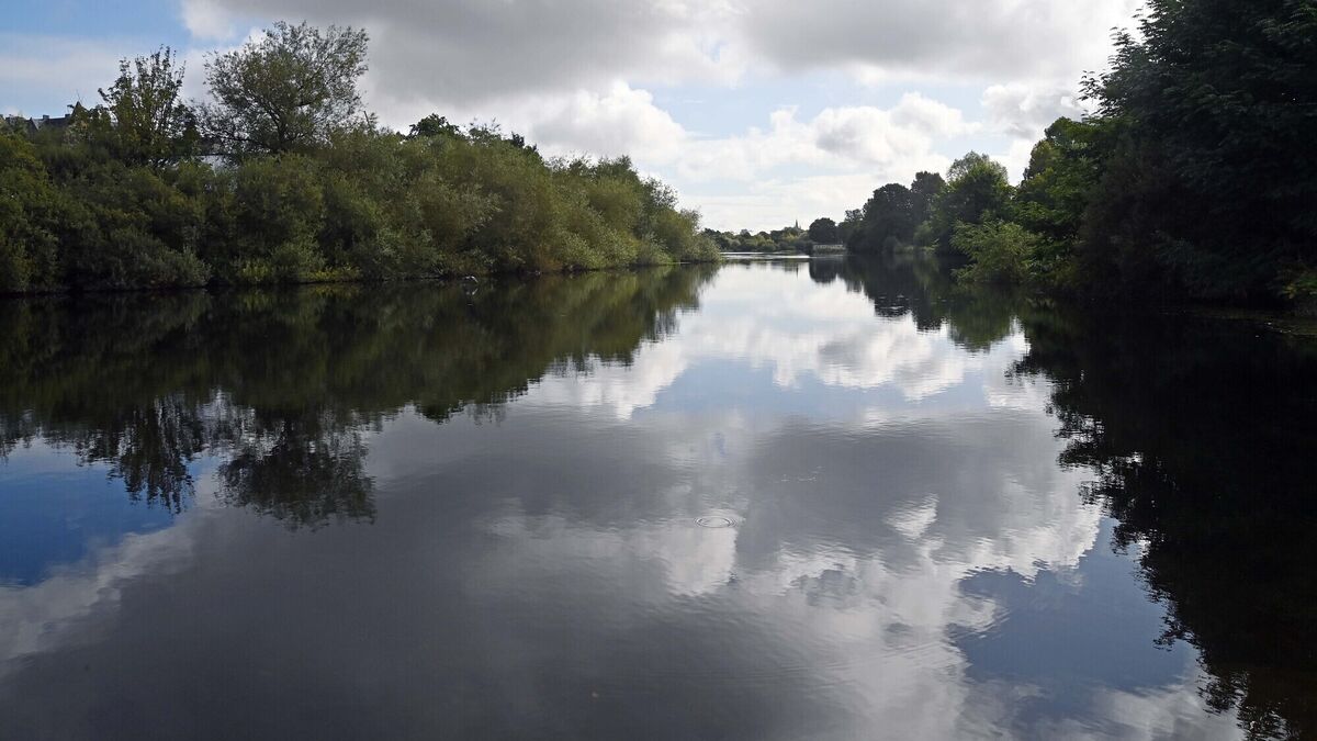 Planning board gives go-ahead to major solar farm turned down by Cork ...