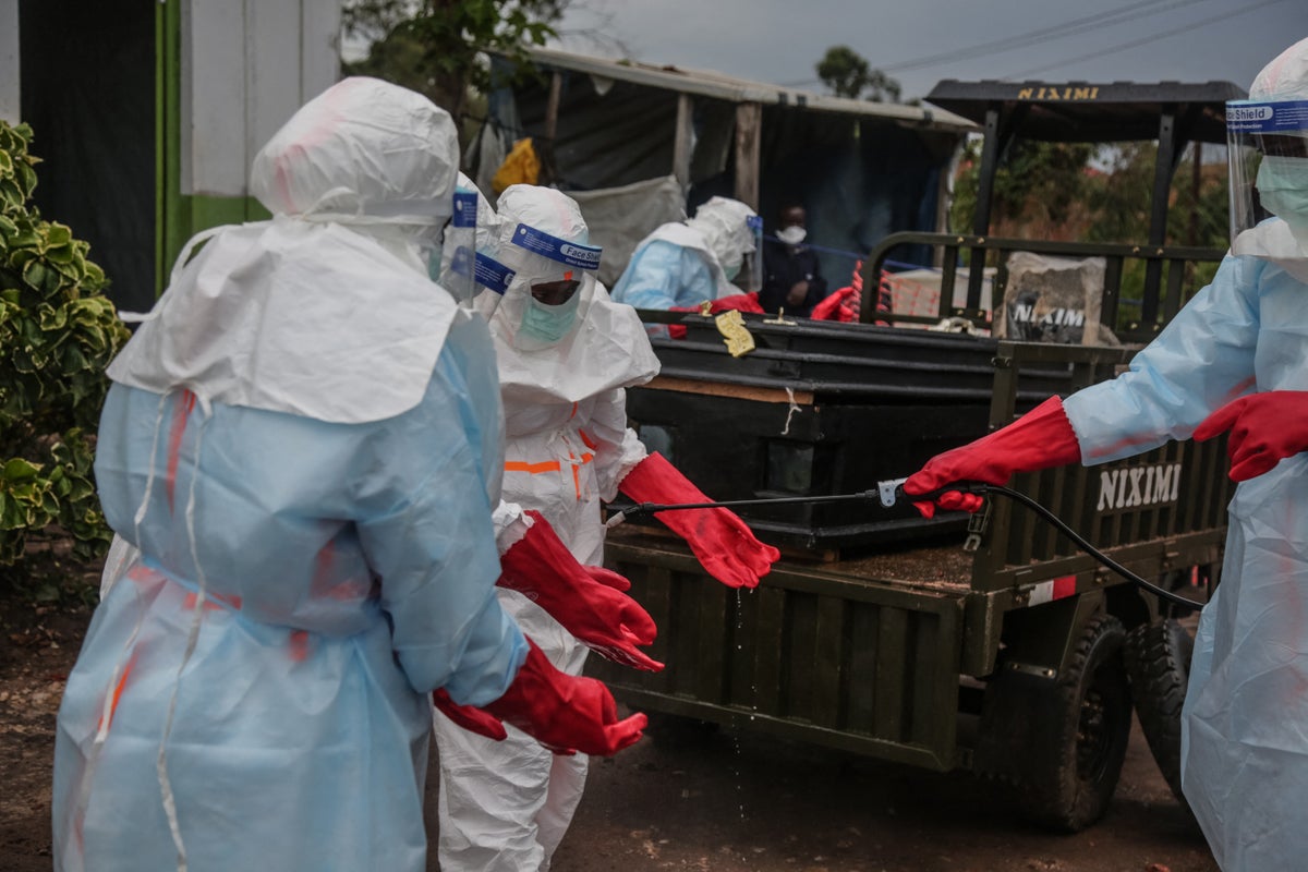 New Ebola strain vaccine could be ready within months, scientists say