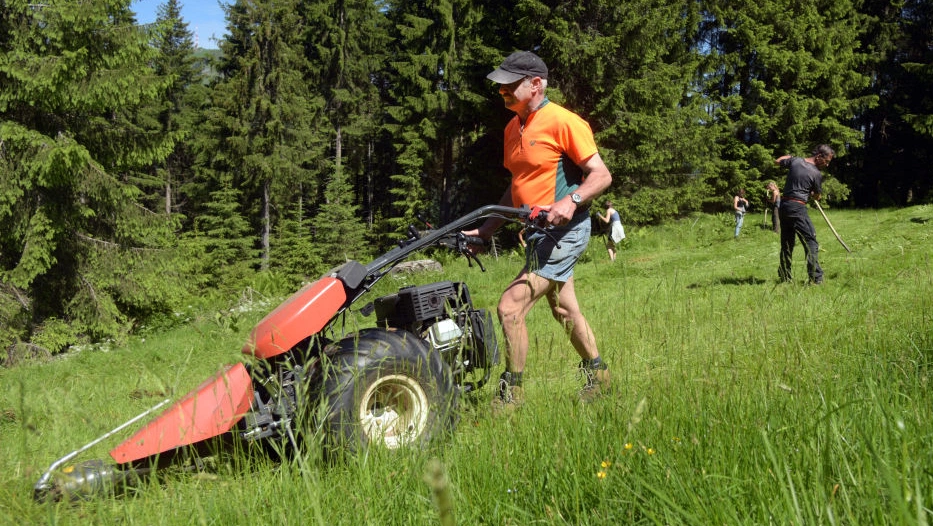Brush cutter safety tips every landowner should know