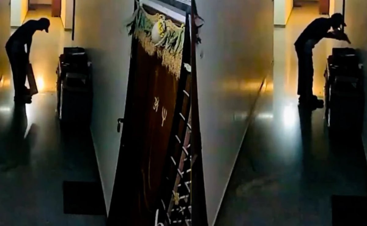 After Blinkit delivery boy's viral cricket bat moment, internet wants ...