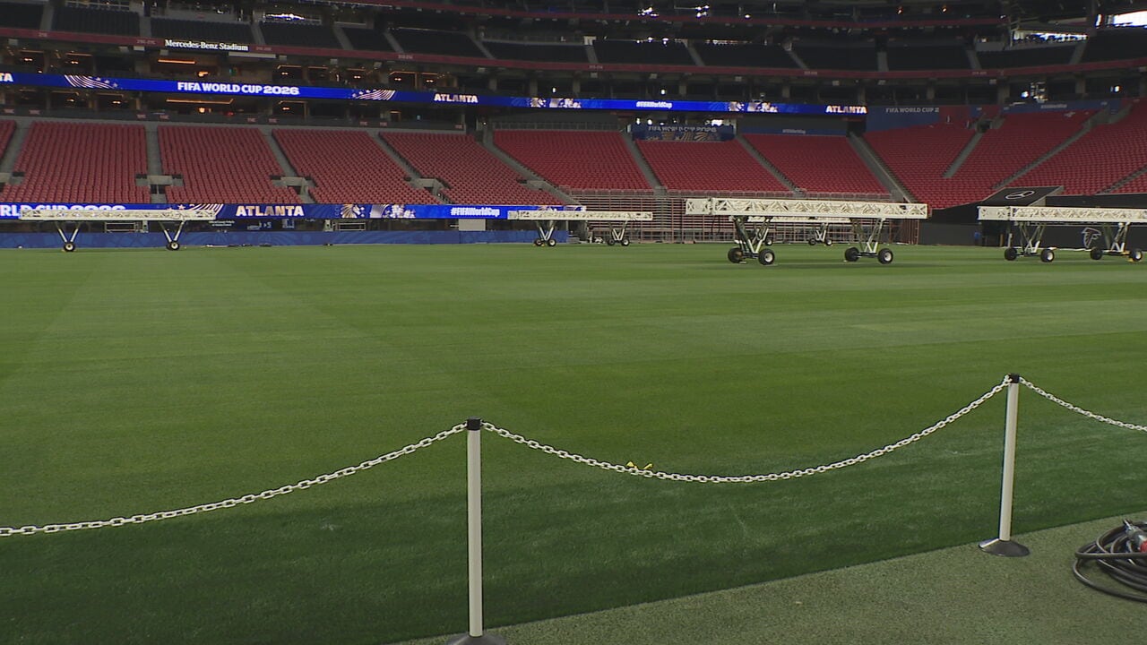FIFA World Cup: Take a look at the new natural grass playing surface at ...