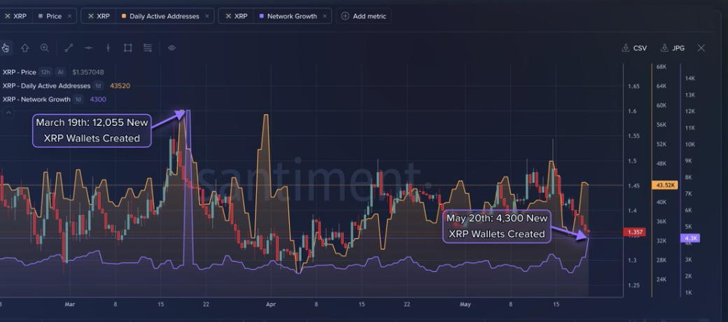 XRP adds 4,300 new wallets in 24 hours, but why is price stuck?