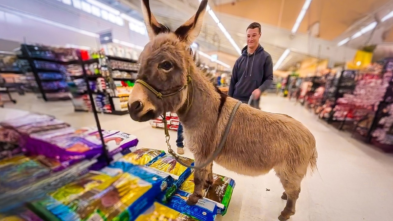 Man rescued aggressive donkey - and instantly became his dad