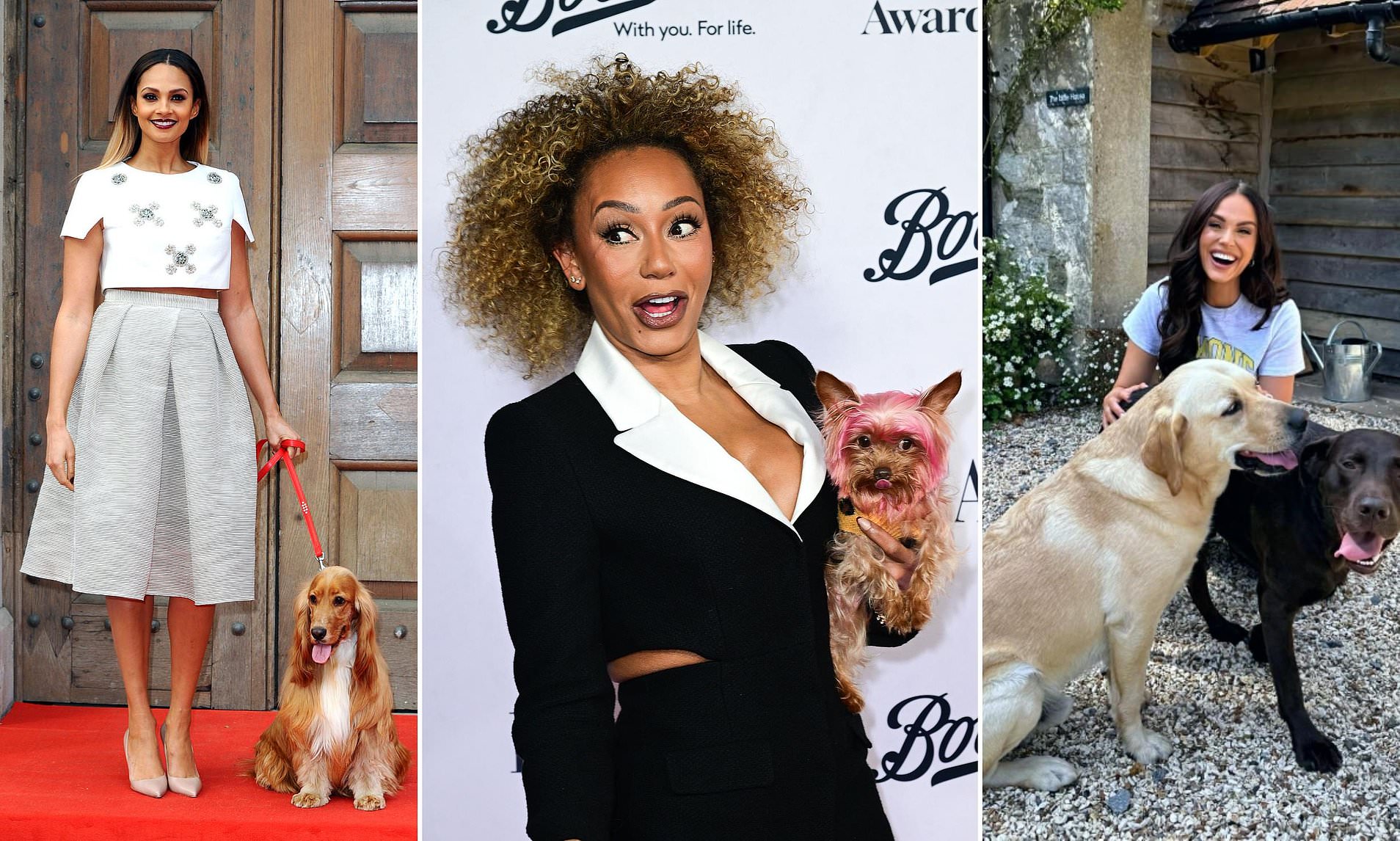 How distinguished is your dog's name? Etiquette expert Laura Windsor ...