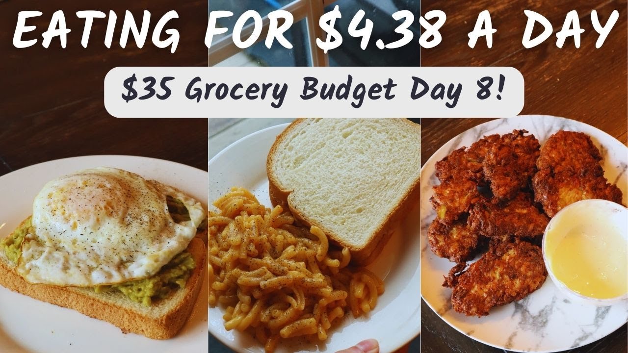 Eating for $4.38 per day? | $35 budget grocery week | What I ate on day 8!