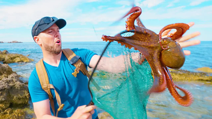 Giant octopus found in a hidden tide pool