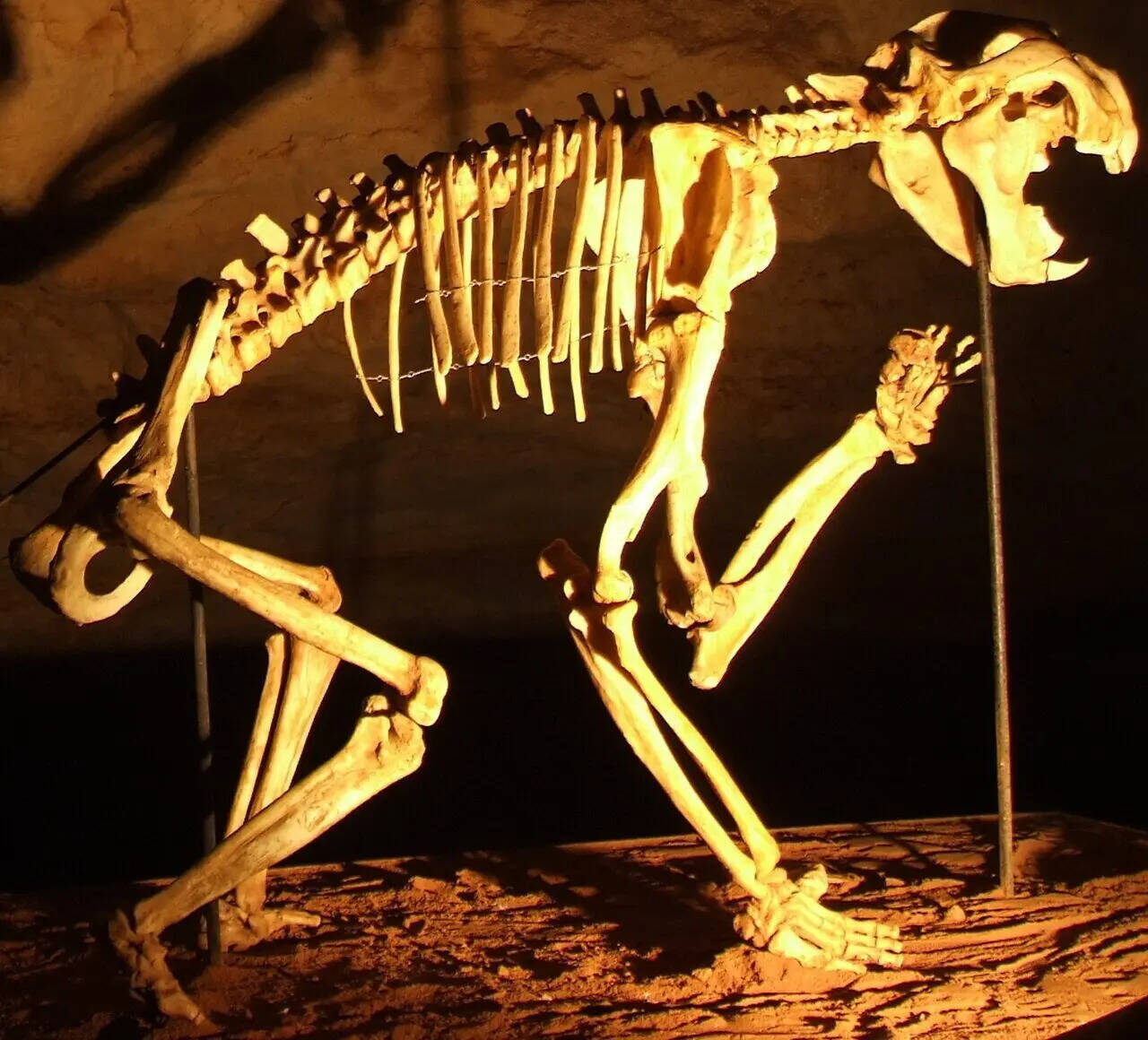 In 2002, cavers found a hidden skeleton that revealed an ancient ...