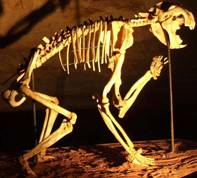 In 2002, cavers found a hidden skeleton that revealed an ancient ...