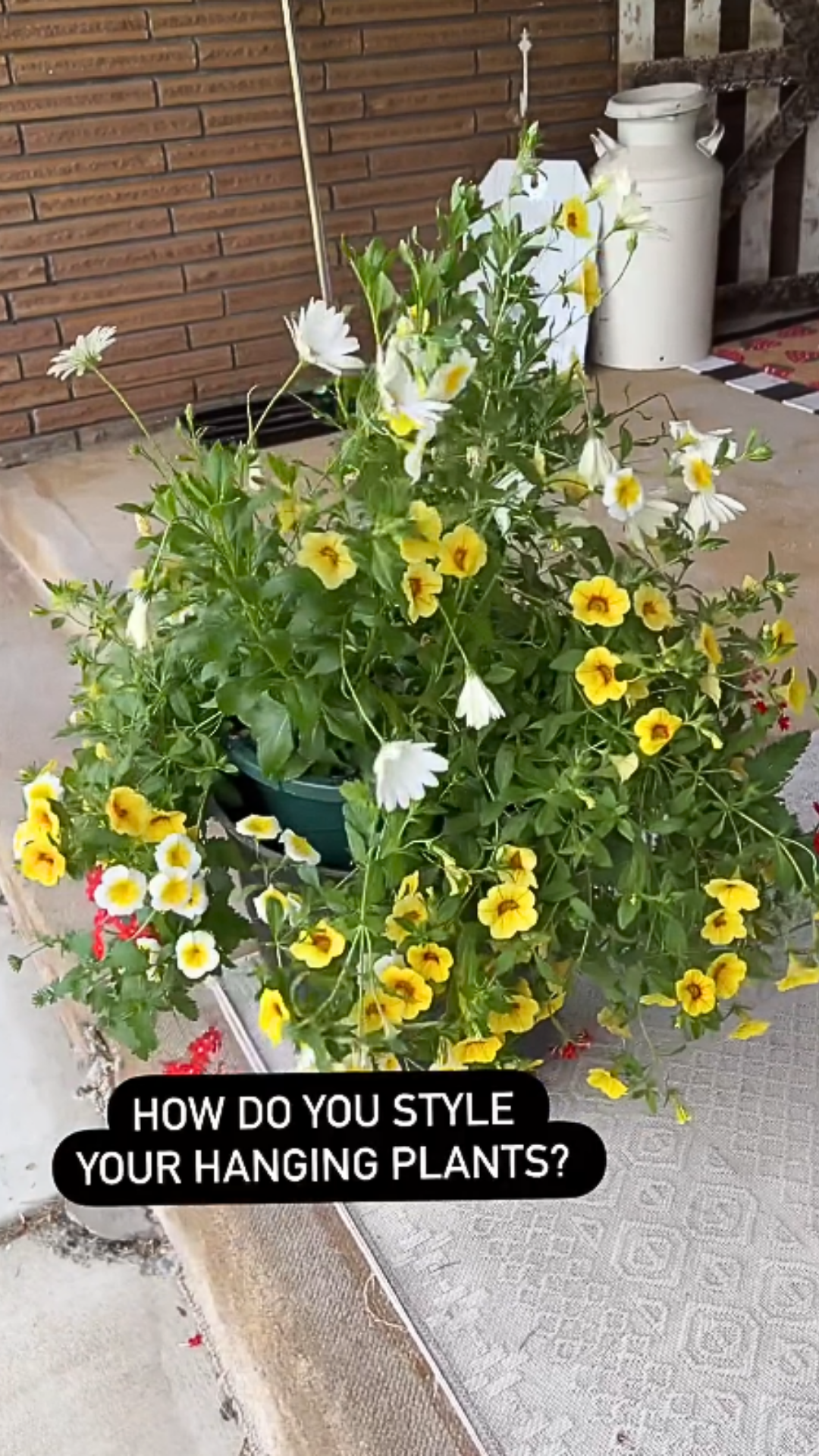 Hanging plant trick to keep plants alive