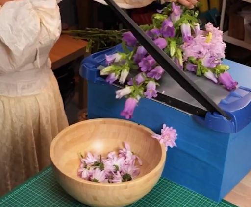 Crafting floral-inspired cosmetics from nature's palette