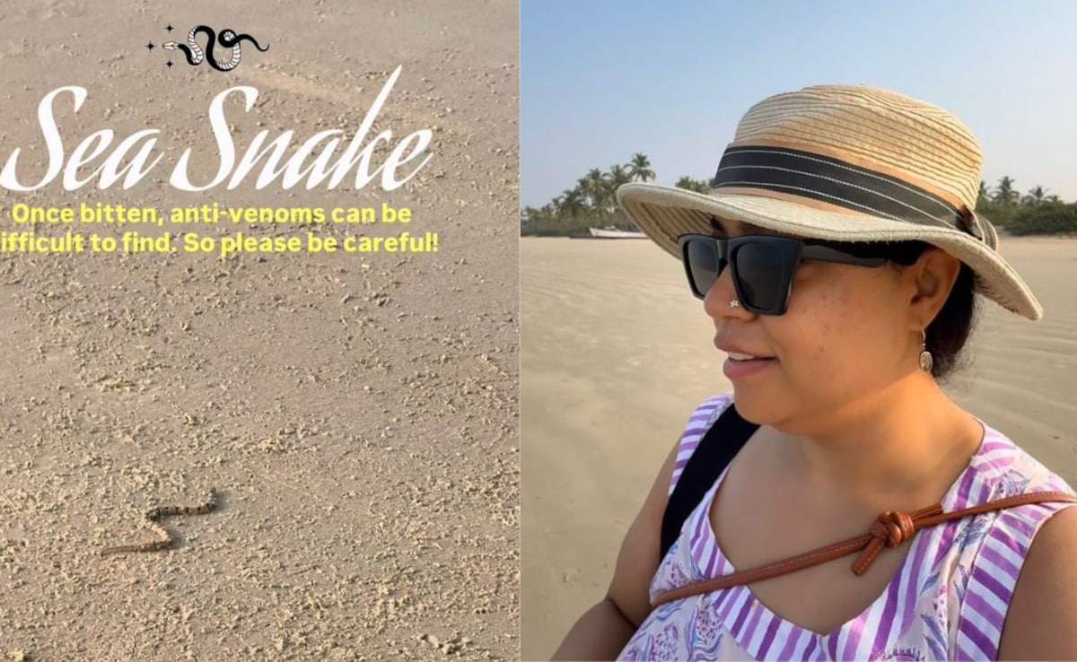 Watch: Woman encounters sea snake while walking on Benaulim Beach, Goa