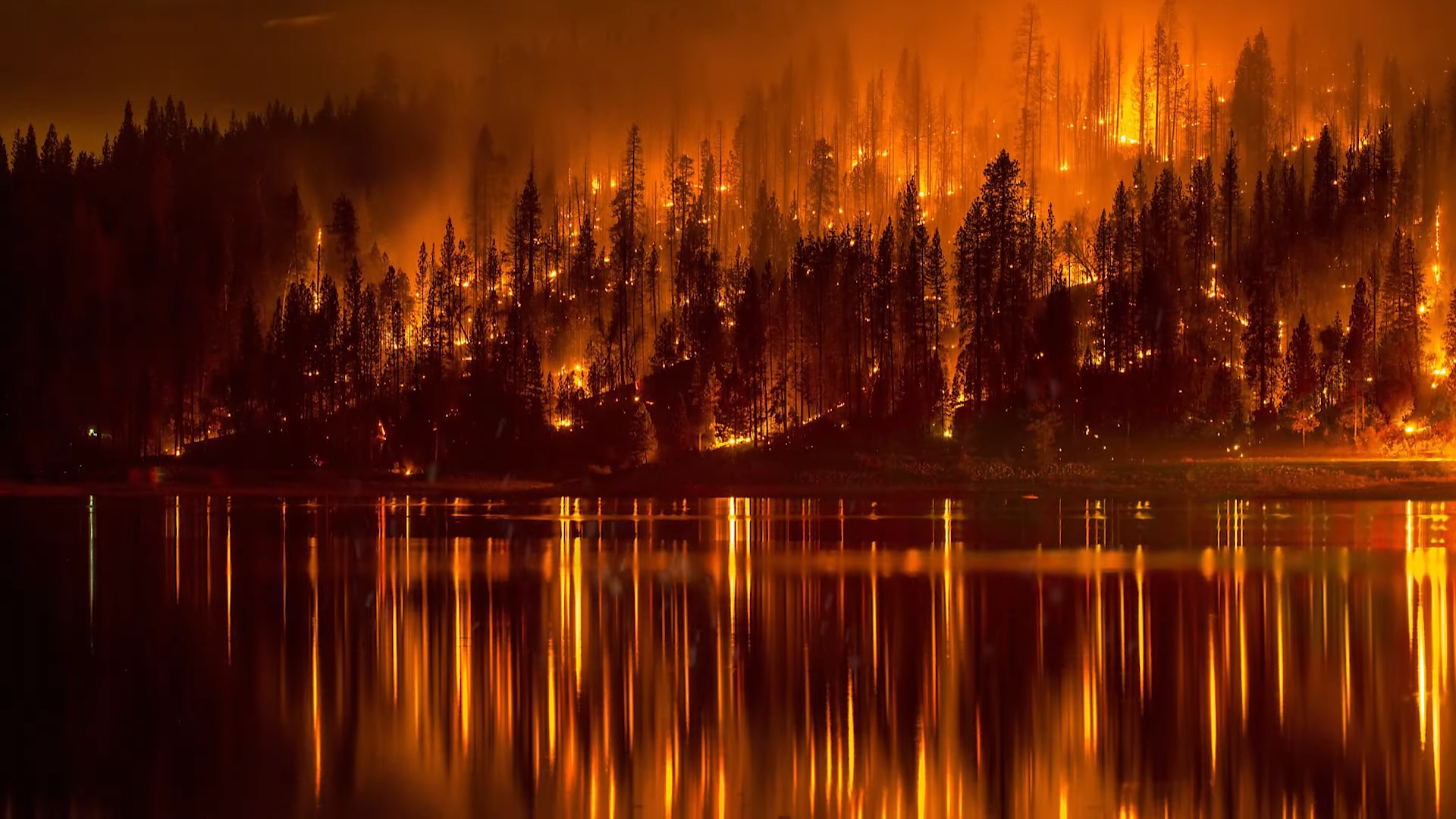 The terrifying cost of destroying the Amazon