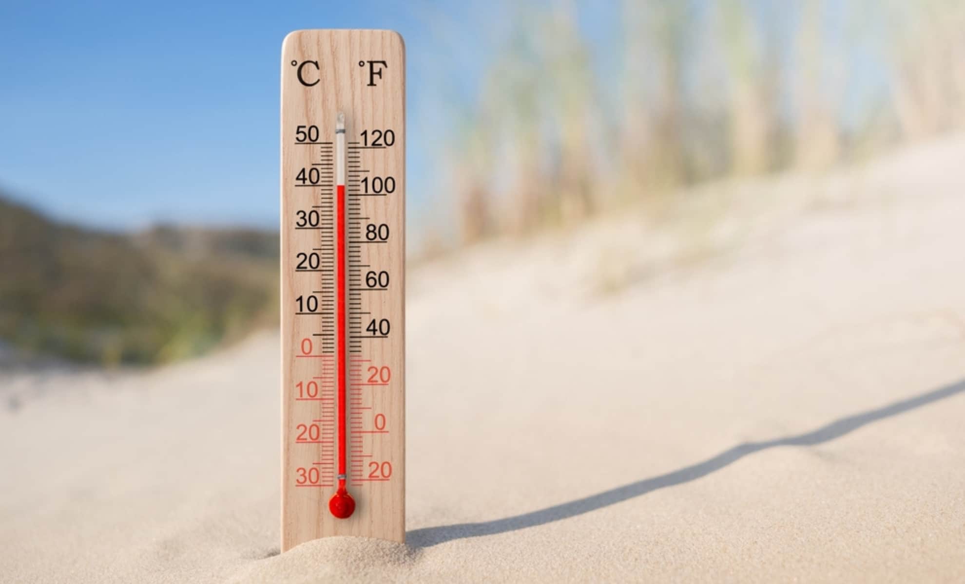 Météo : quel temps fera-t-il au mois de juin