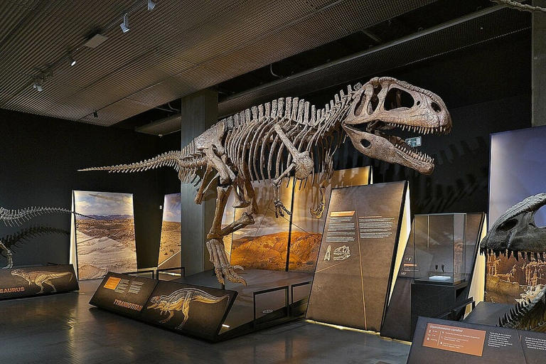Scientists have a new idea for why T rex had such tiny arms