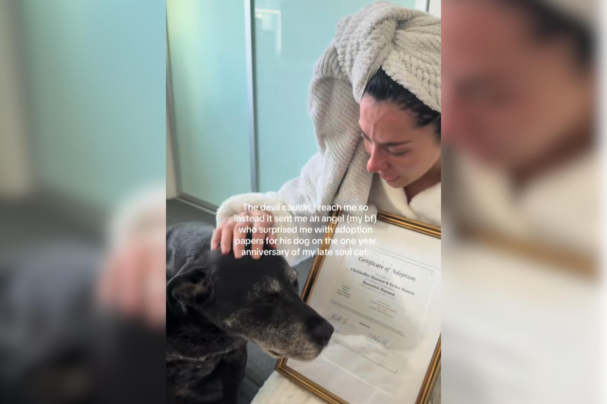 Tears as woman surprised with adoption papers for boyfriend’s senior dog